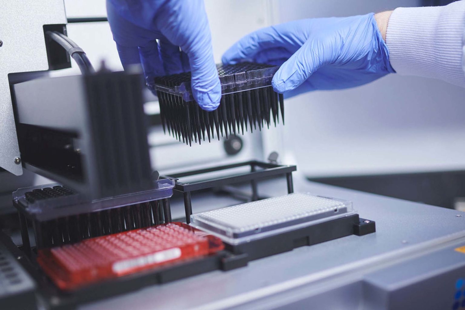 Our Services | eDNAtec