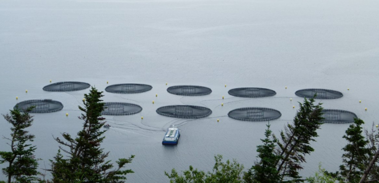 How Environmental DNA Can Support the Aquaculture Industry | eDNAtec